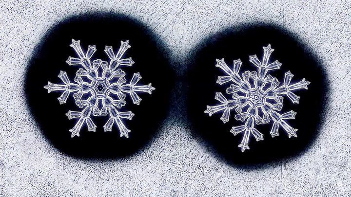 Учен опроверга мита за уникалността на снежинките (видео, снимки) | Физика