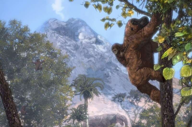 Как тревата коригира хронологията на еволюцията на ранните маймуни в ...